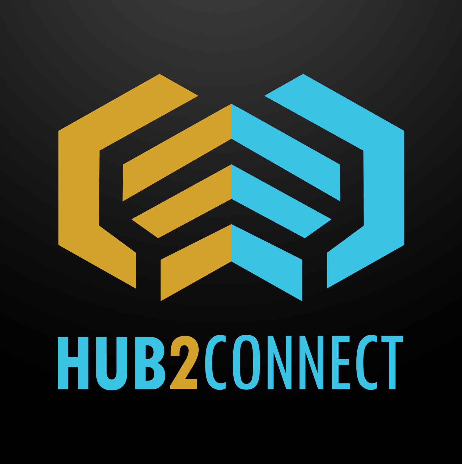 Hub2Connect Events - by European Elite Business Hub